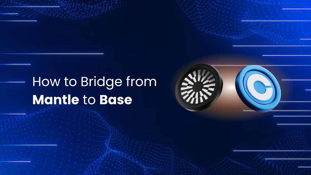 Cómo pasar del manto a la base - Crypto Vanguards