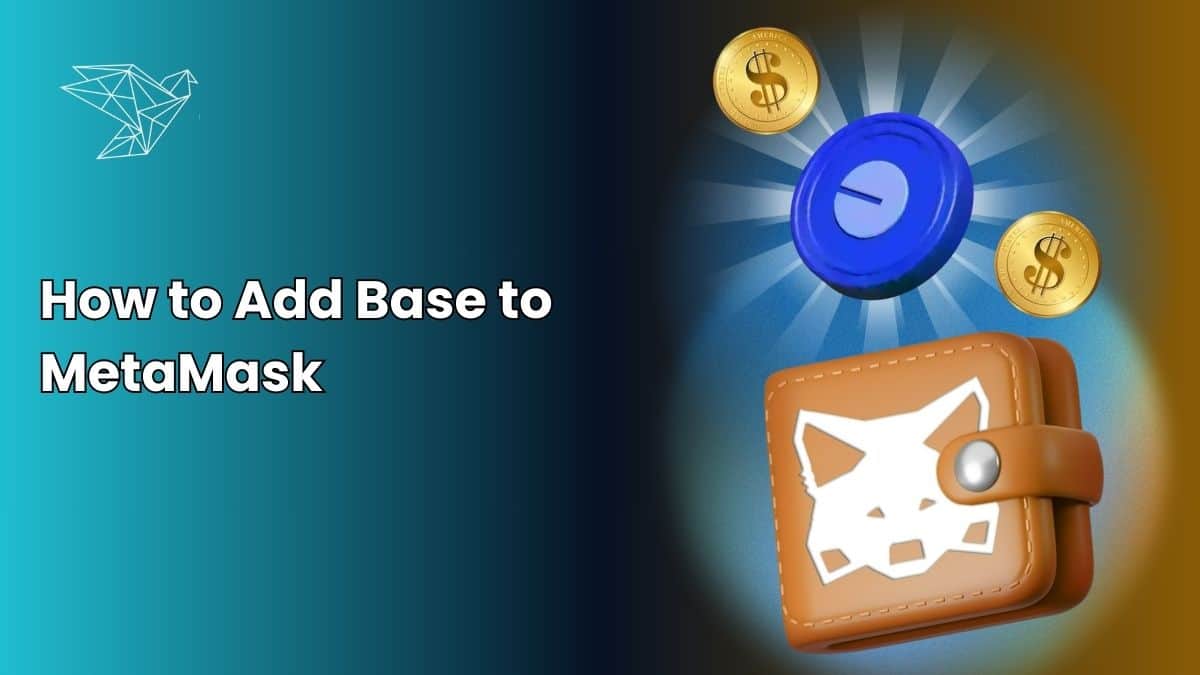 How to Add Base to MetaMask - Crypto Vanguards